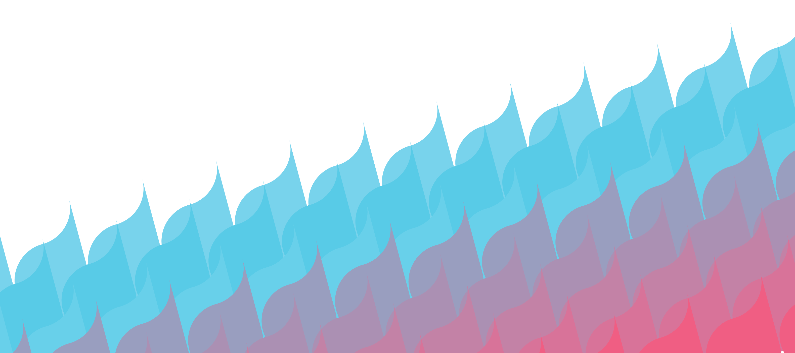 Custom Software & Website Development Agency - Sydney | 4mation